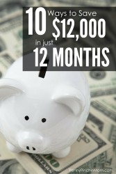 Ten Ideas To Help You Save $12,000 In 12 Months - Penny Pinchin' Mom