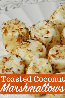 Toasted Coconut Marshmallows Recipe - Penny Pinchin' Mom