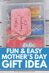 Mom's Emergency Kit (Fun Mother's Day Gift Idea)