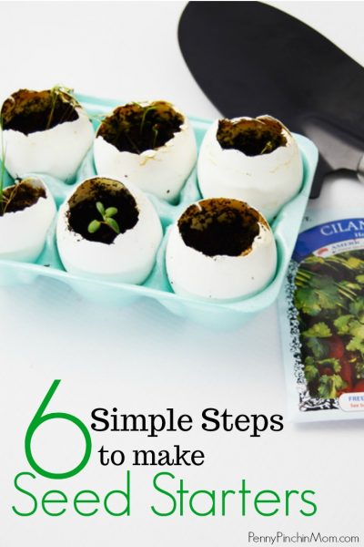 Eggshell Seed Starters - Penny Pinchin' Mom