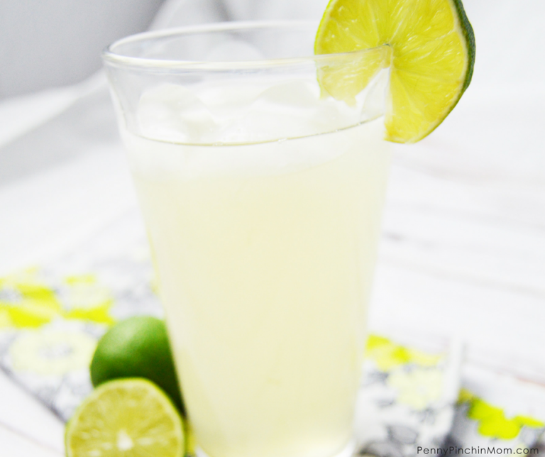 Easy Homemade Limeade Recipe - Penny Pinchin' Mom