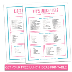 Kid Lunch Ideas For School - Penny Pinchin' Mom