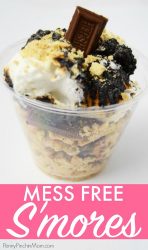 Walking S'Mores | The Clean Way To Enjoy S'Mores! - Penny Pinchin' Mom