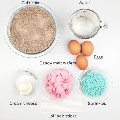 Easy Chocolate Cake Pops: A Sweet And Simple Treat For Any Occasion ...