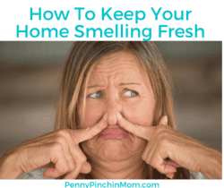 How To Keep Your House Smelling Good All The Time