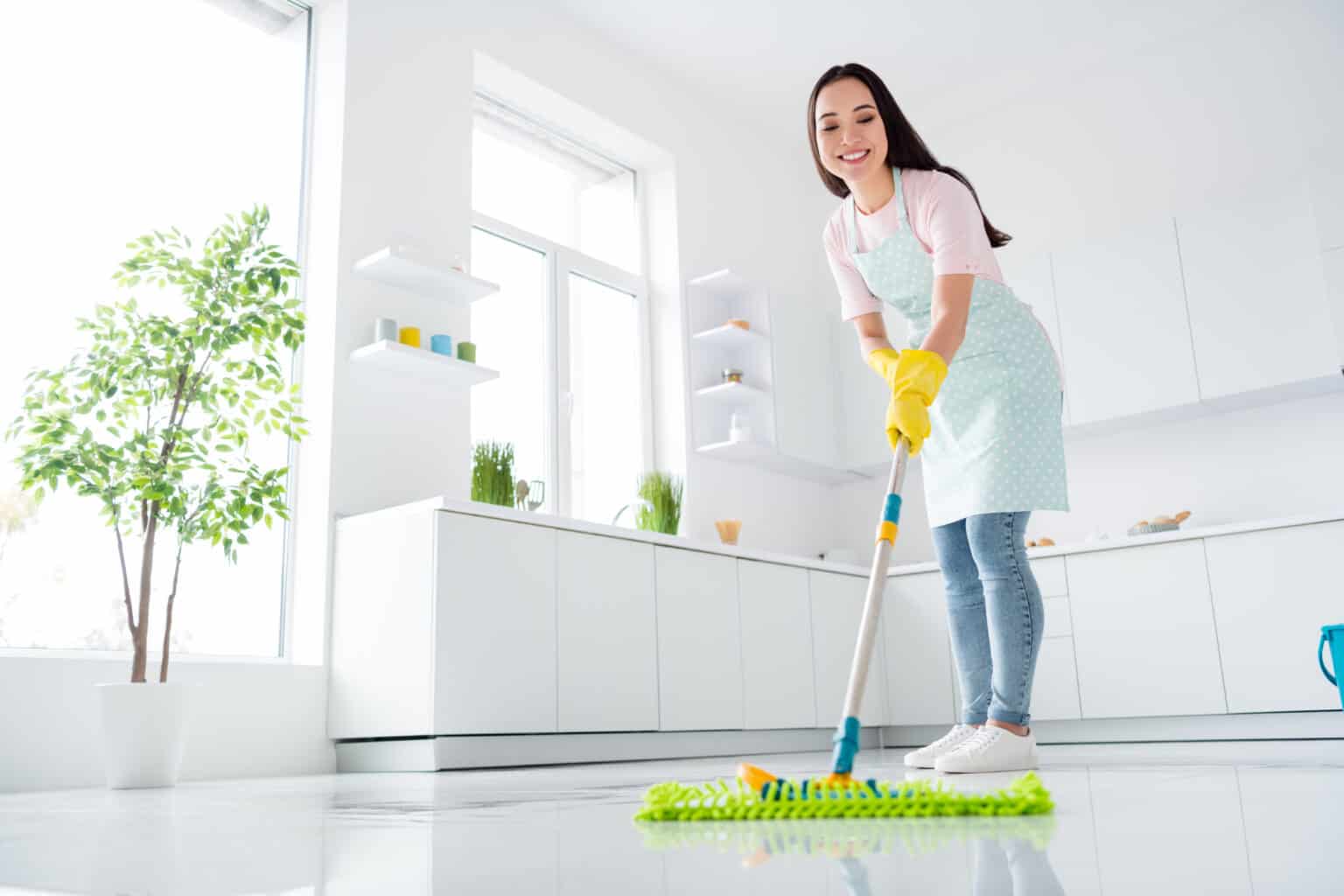 Sparkling Clean: The Top Kitchen Cleaning Products That Work - Penny ...